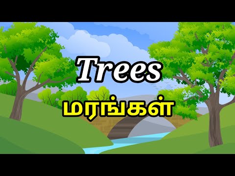 Trees | Trees name in Tamil and English