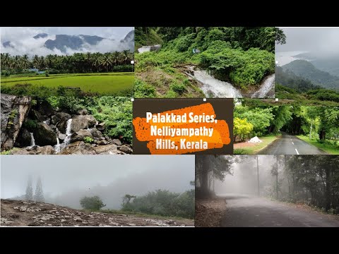 Nelliyampathy, Poor Man's Ooty || Palakkad || Kerala