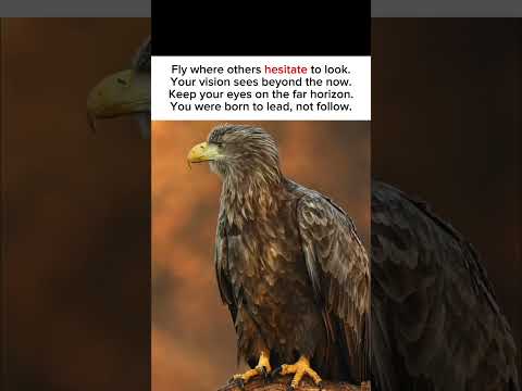 Fly Where Others Heaitate to Look #motivation #quotes #love #short #shorts