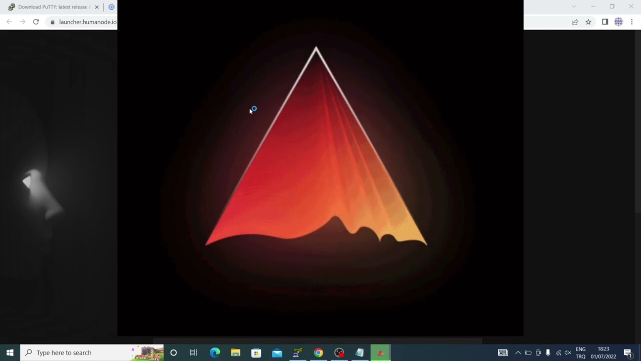 Humanode Setup Guide