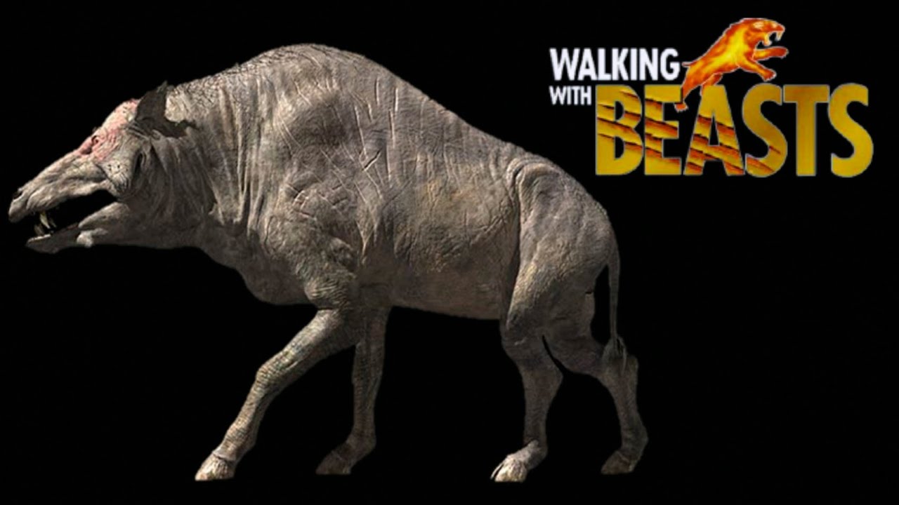 Walking With Beasts [2001] - Entelodon Screen Time