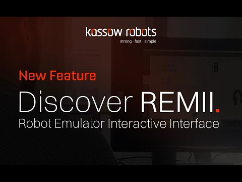 Our Offline Programming Tool - REMII.