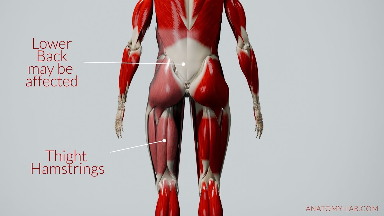 Tight Fascia? Break Crosslinks & Improve Flexibility