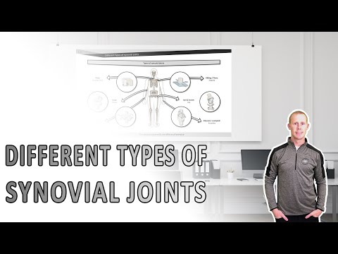 The different types of joints