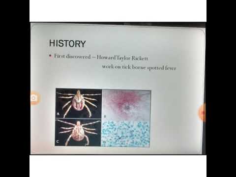 RICKETTSIAE.