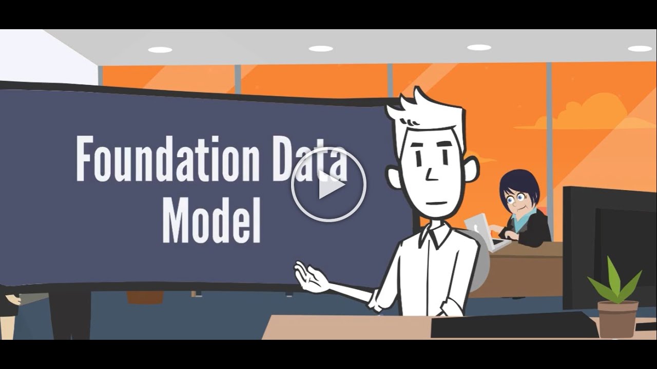 What is the Foundation Data Model?