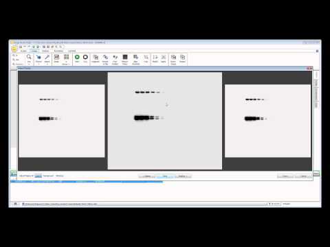 Image Studio 5.0 for C‑DiGit Scanner ‑ Choose and Adjust an Acquired Image
