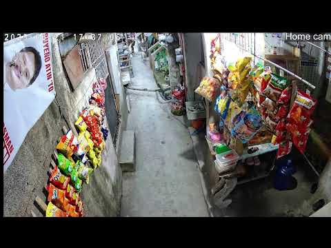 Lola's Home - Home Cam- My Everyday life