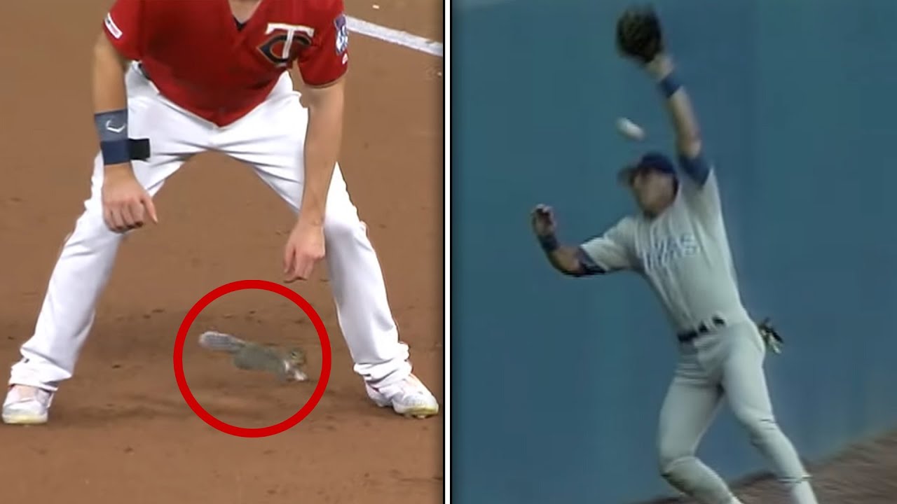 Baseball's Most Bizarre Oddities