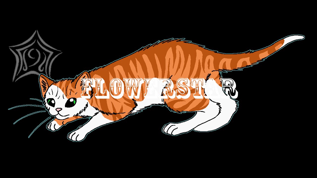 Warrior Cats - Top 10 ShadowClan Leaders