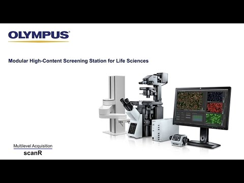 scanR High-Content Screening Station: Multilevel Acquisition