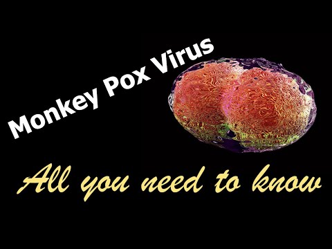 Monkey Pox: All you need to know