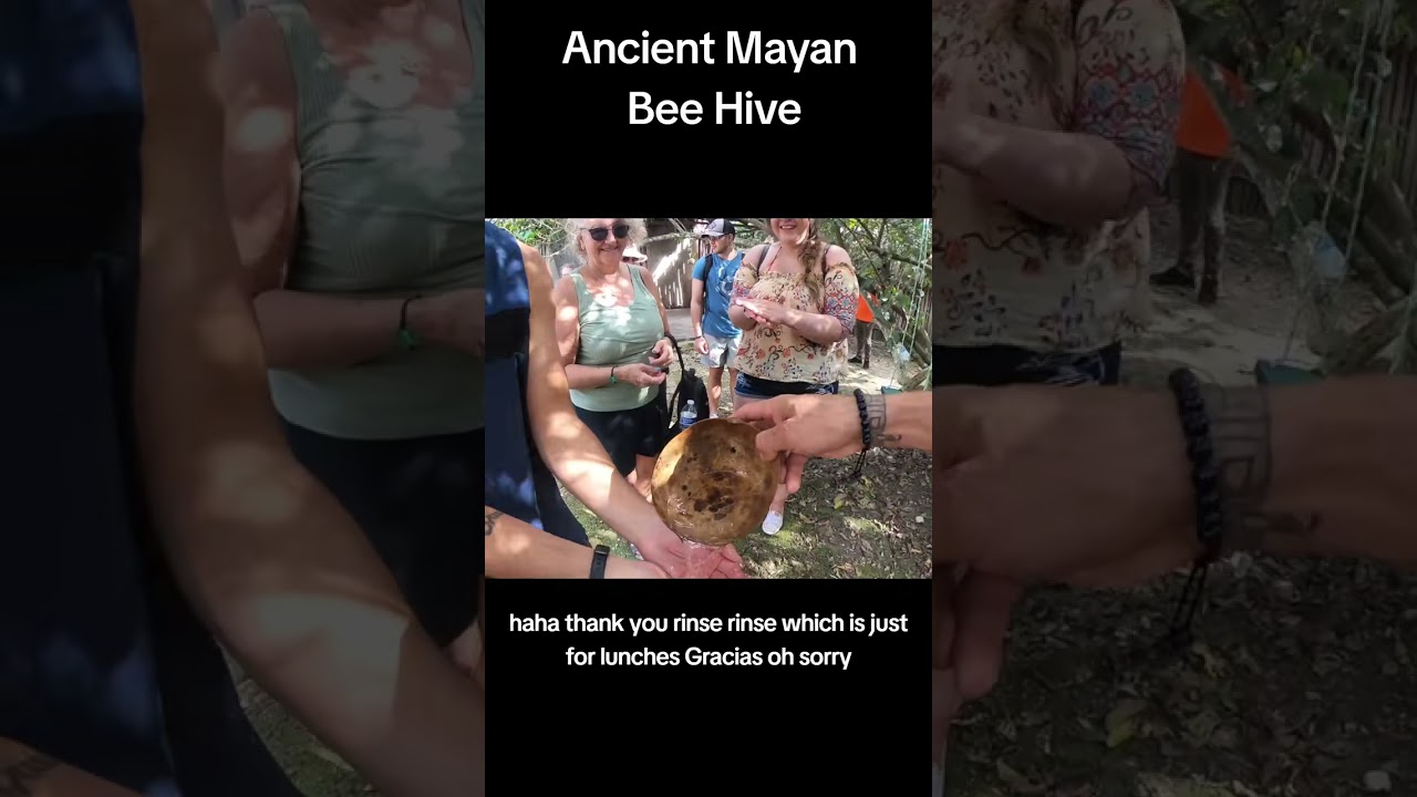 Ancient Mayan Bee Hive For Honey In Mayan Village Yucatan Mexico, Melipona Bee