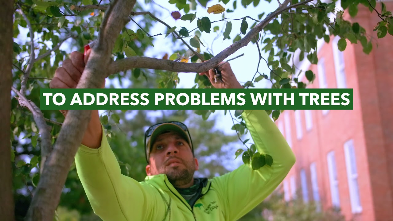 Turfscape Landscape Maintenance