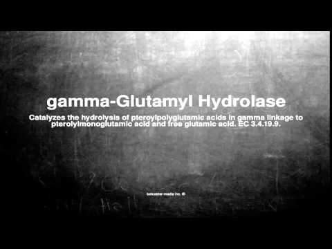 Medical vocabulary: What does gamma-Glutamyl Hydrolase mean
