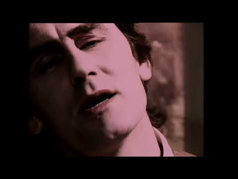 Robert Forster - Baby Stones HD