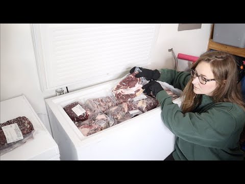 Can a Half Cow Fit In a 7 Cubic Foot Chest Freezer? Lets See!