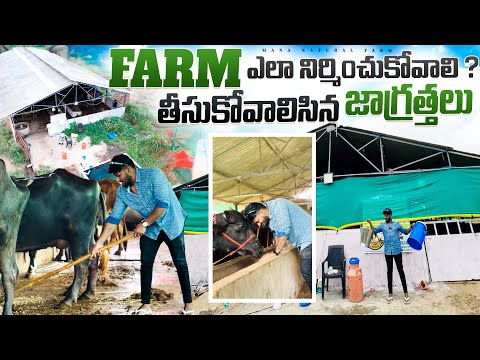 Dairy farm how to construction π§ #dairy #murrabuffalo #farming #public #buffalodairy #milk #cow οΏΌ
