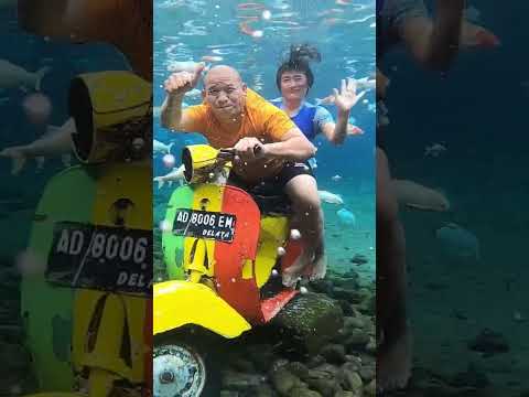 Ketika Mama Ara Kaget Diajak Papa Naik Motor Didalam Air Sama Ikan 🛵👫❤