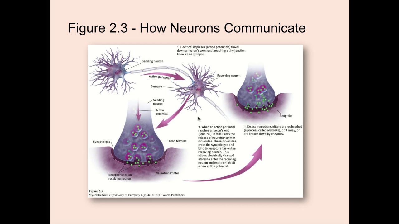 RM Chapter 2 - Lecture Slides - Google Slides