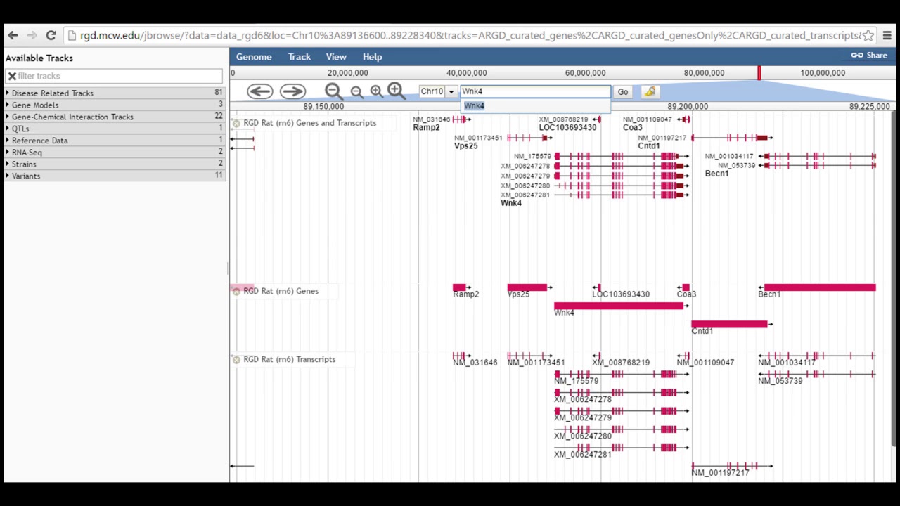 JBrowse Genome Browser Video Tutorial