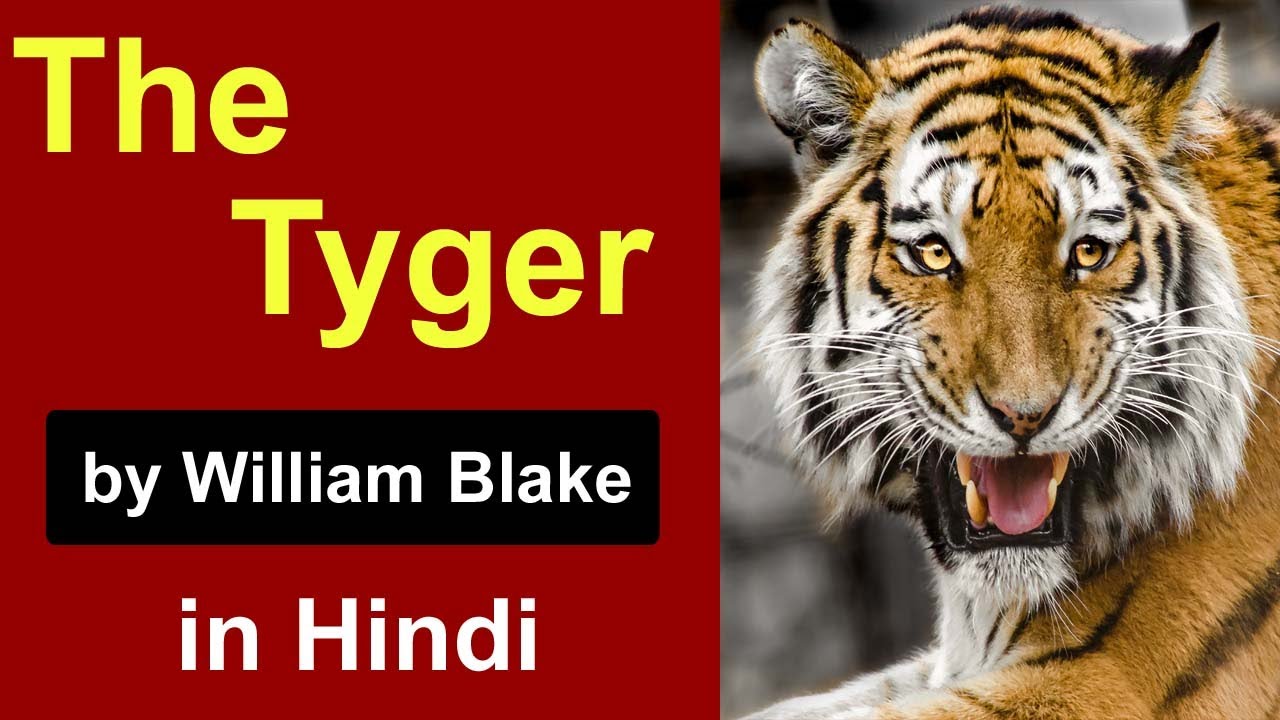 Understanding William Blake's 'The Tyger': A Deep Dive into the Poem's ...