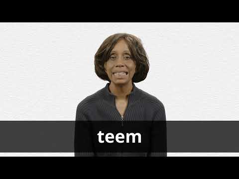 TEEM - Definition & Translations | Collins English Dictionary