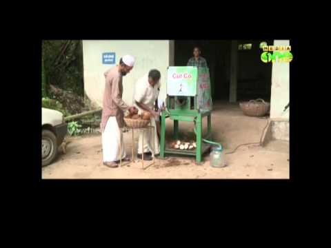 Coconut Breaker - Coconut Breaking Machine Latest Price, Manufacturers ...
