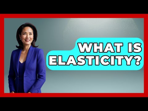 What Is Elasticity? - Learn About Economics