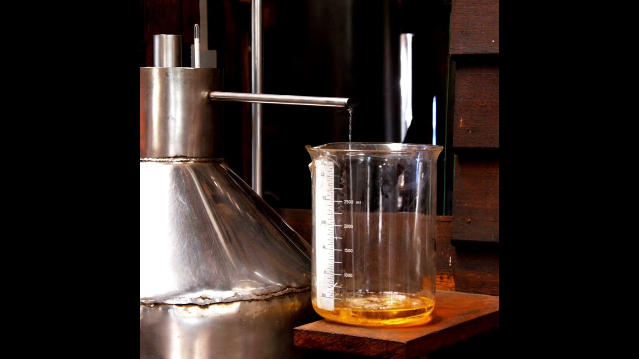 Learn more about Essentia Extracts Steam-Distilled Essential Oils