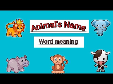 Animals name in english to bengali.Word meaning