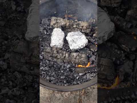 Classic🔥Camp-Fire🔥Foil Dinners