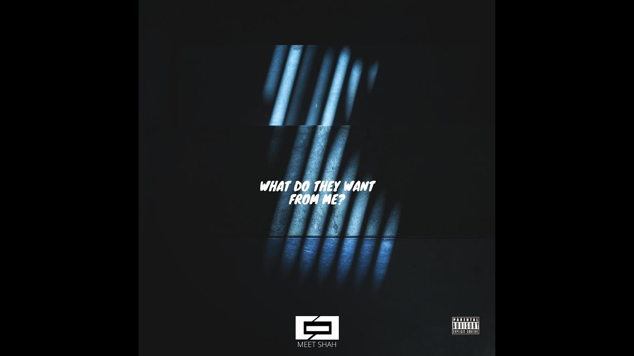 Meet Shah - What Do They Want From Me?