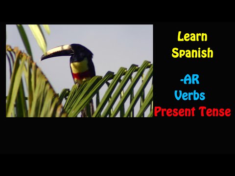 Learn Spanish-The Verbs That End In -AR (Los Verbos Que Terminan en -AR)