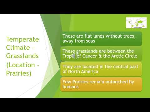 Temperate Climate: Grasslands