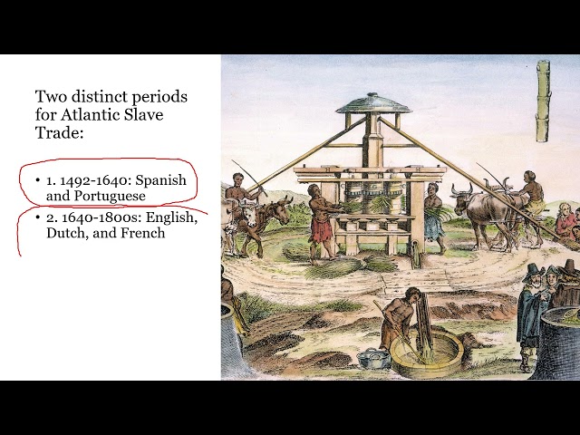 Understanding Early Modern Slavery: The Atlantic Slave Trade | Galaxy.ai