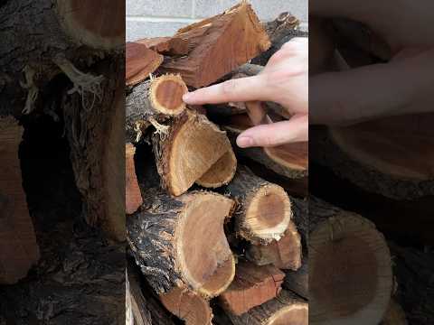 Cooper breaking down how we identify our wood😏🥰#mesquite