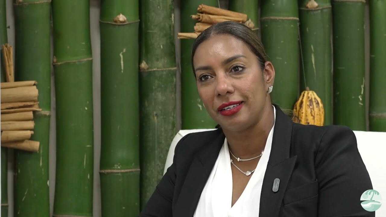 STC 2024: Rosana John, attorney-at-law, leading ESG and Sustainable ...