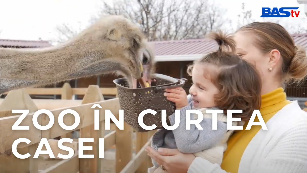 (FOTO/VIDEO) TOP-6 locuri din raionul Basarabeasca, care merită a fi vizitate - BasTV