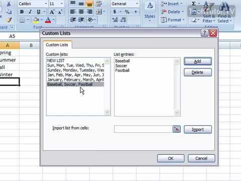 Create Custom Lists in Excel 2007