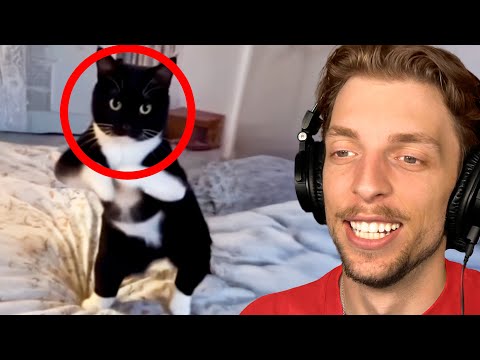 Slogo Reacts To YOUR FUNNIEST MEMES!
