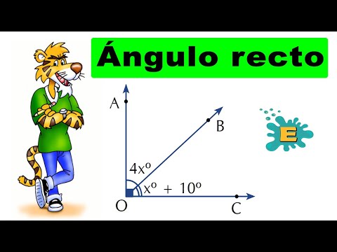 TOMi.digital - Ángulo Recto