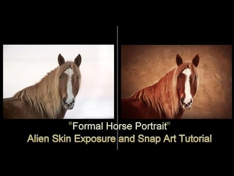 "Formal Horse Portrait" - Alien Skin Software Tutorial
