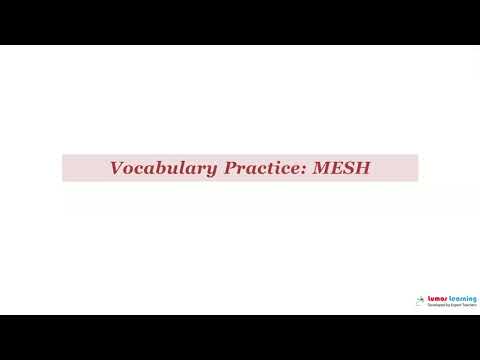 MESH - Definition, pronunciation, grammar, meaning - Practice grade 11 vocabulary