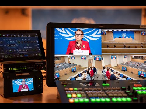UNCTAD's World Investment Report 2025 – Press conference