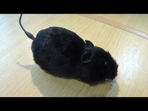 Can We Repair a Victsing Mouse With A Faulty Button