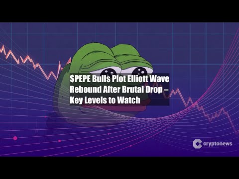 $PEPE Bulls Plot Elliott Wave Rebound After Brutal Drop – Key