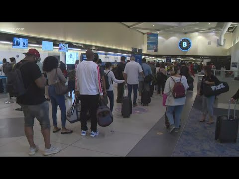 'It's ridiculous': Passengers stuck at Charlotte airport after American cancels flights