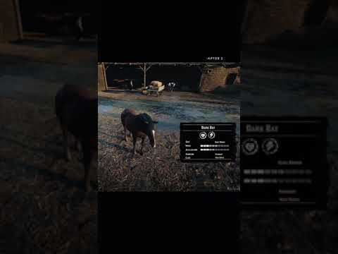 Steam Community :: Video :: RDR2 • All Andalusian Horse Colors and ...