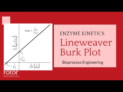 Lineweaver Burk Plot || Enzyme Kinetics || Bioprocess Engineering || GATE Biotechnology